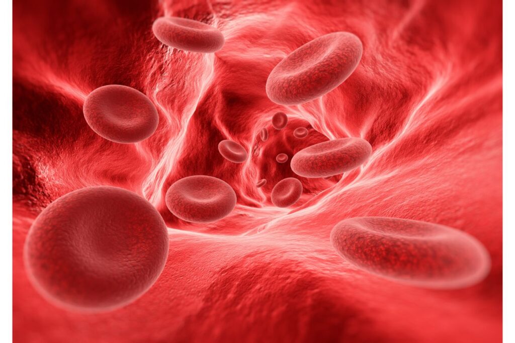 Everything You Need To Know About Stem Cell Therapy In The Philippines